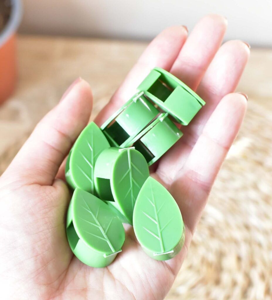 Clip guía para plantas - Puya Plantas